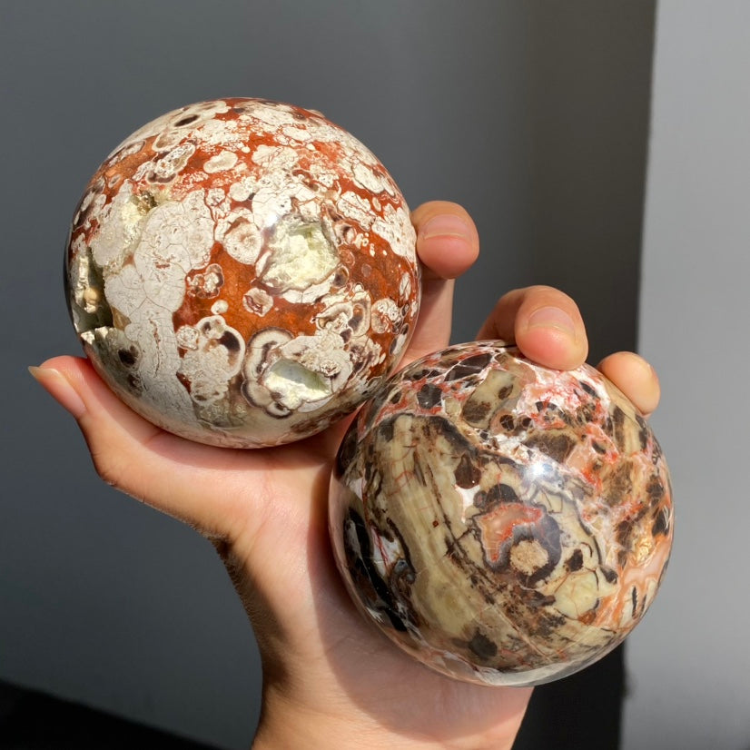 Money Agate Big Spheres – Simmon Crystal Wholesale