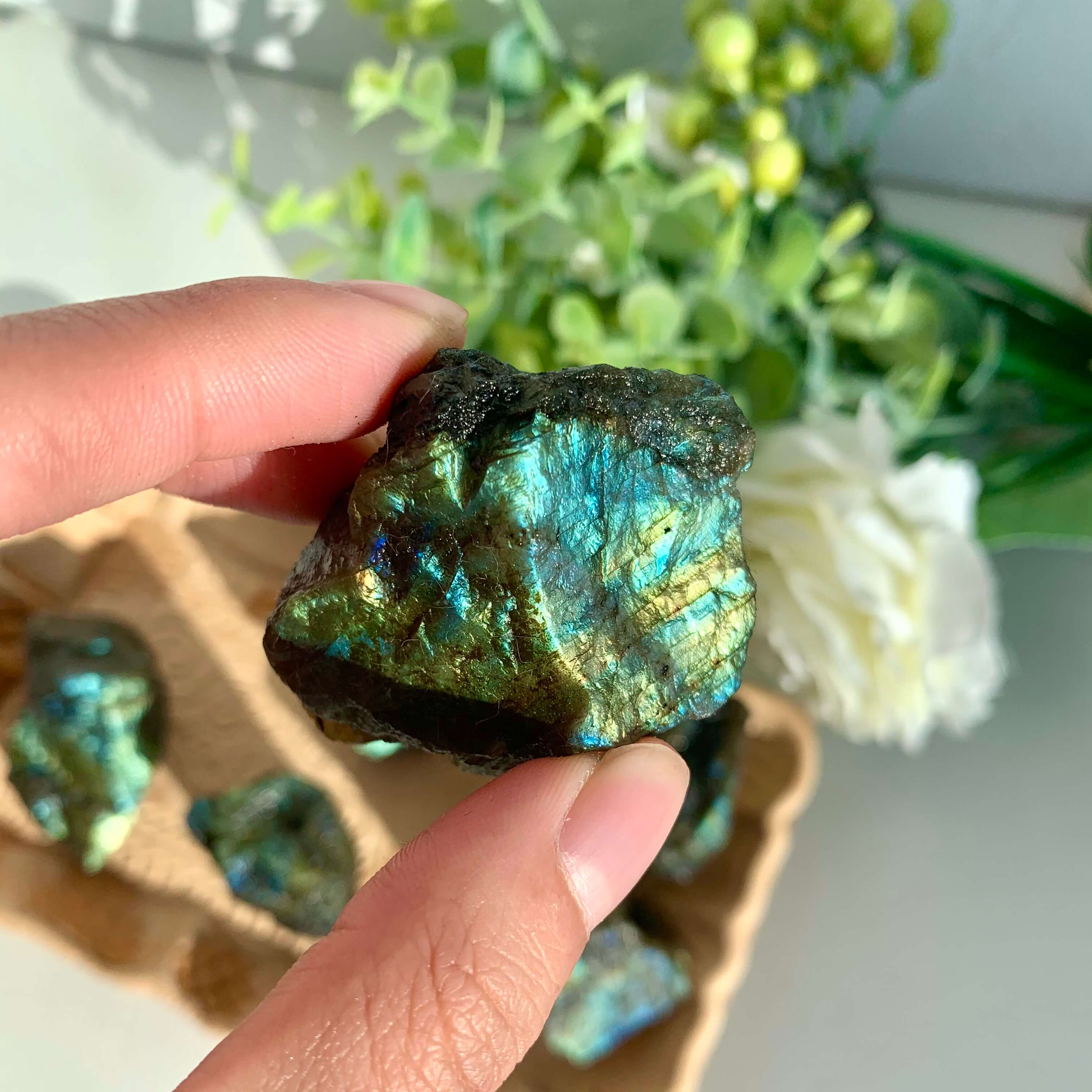 Labradorite Raw – Simmon Crystal Wholesale