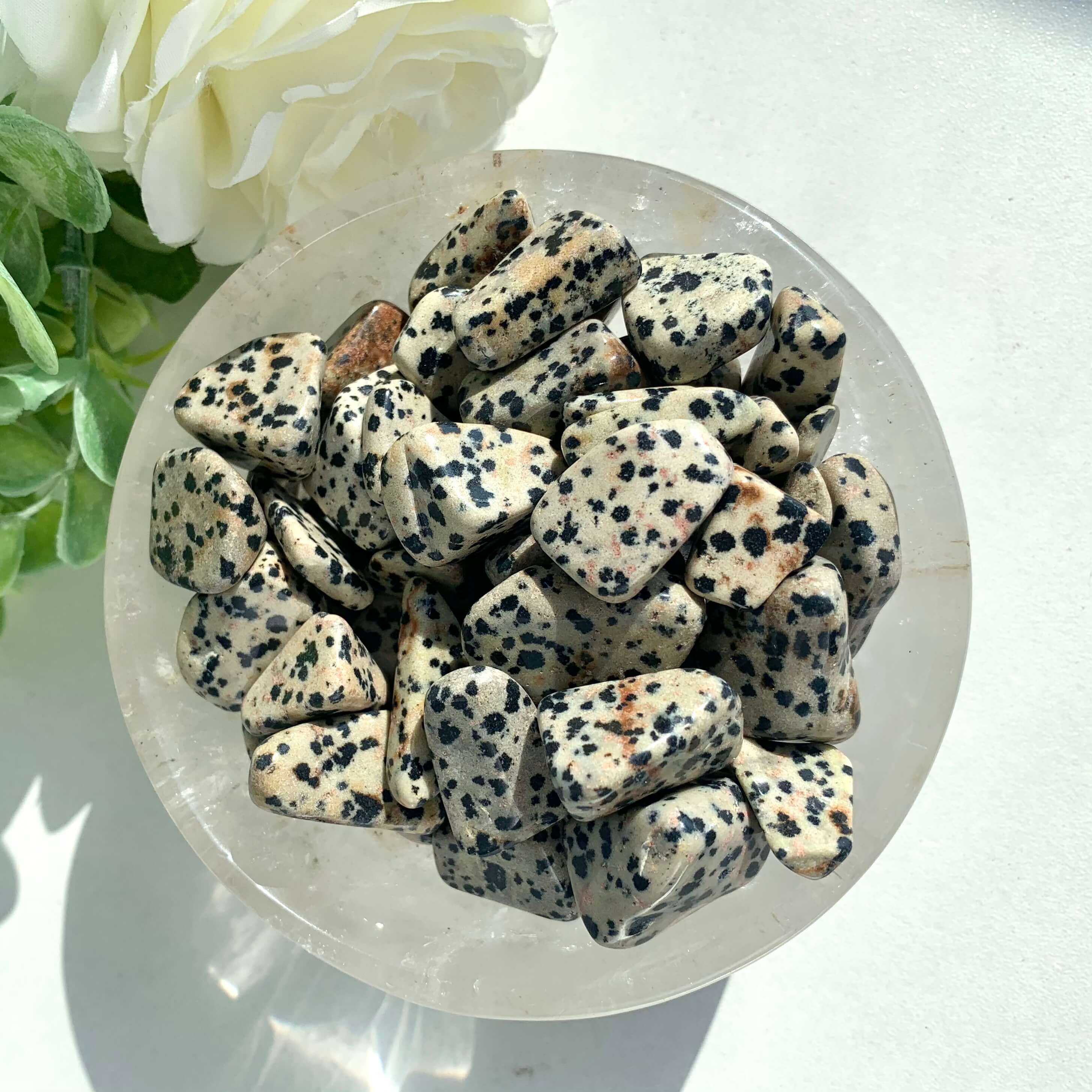 Dalmation Jasper Tumble – Simmon Crystal Wholesale